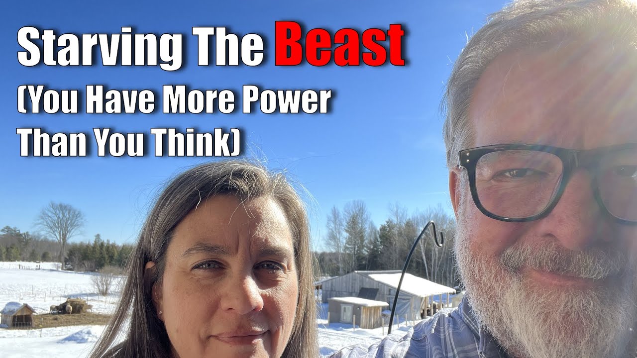 Starving The Beast | You Have More Power Than You Think - YouTube