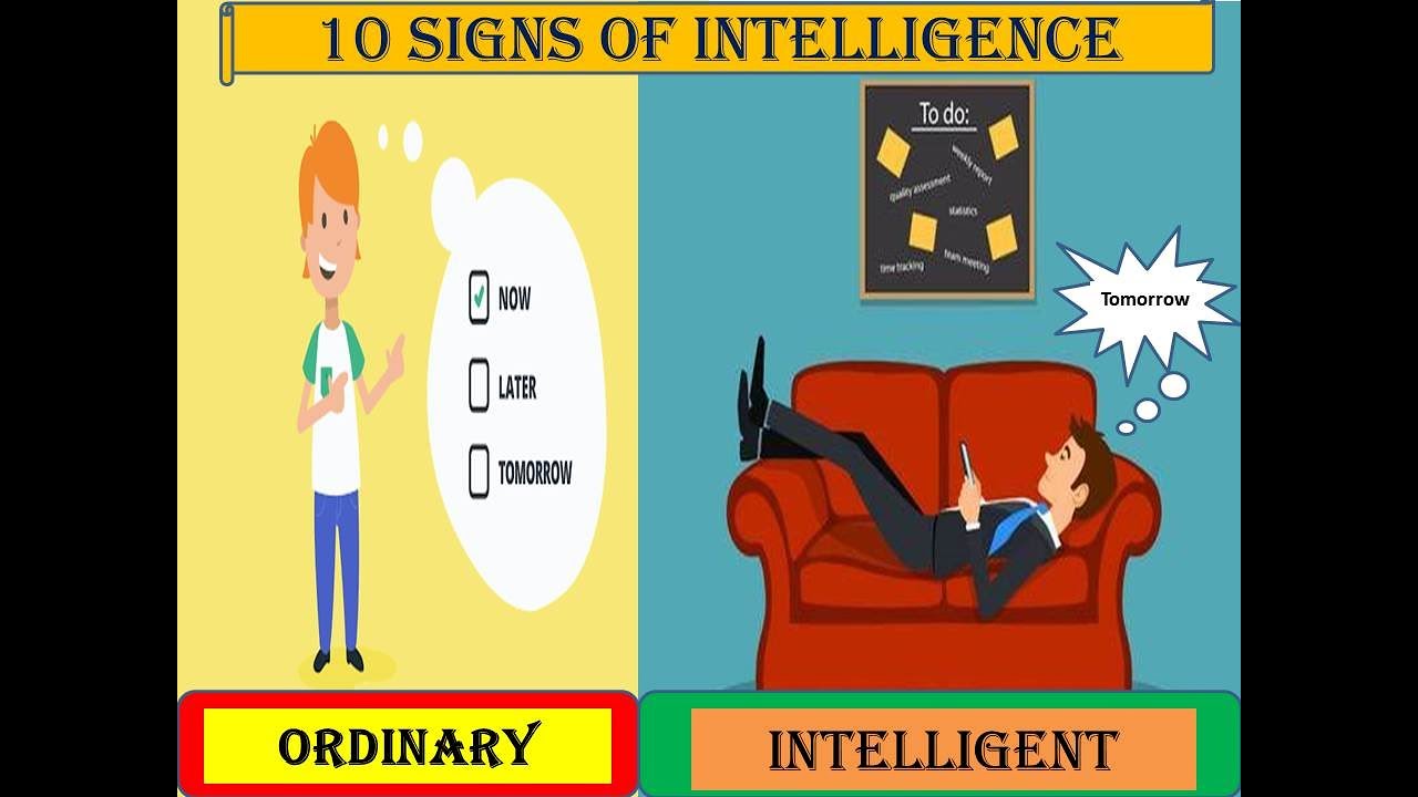 10 signs of intelligence - YouTube