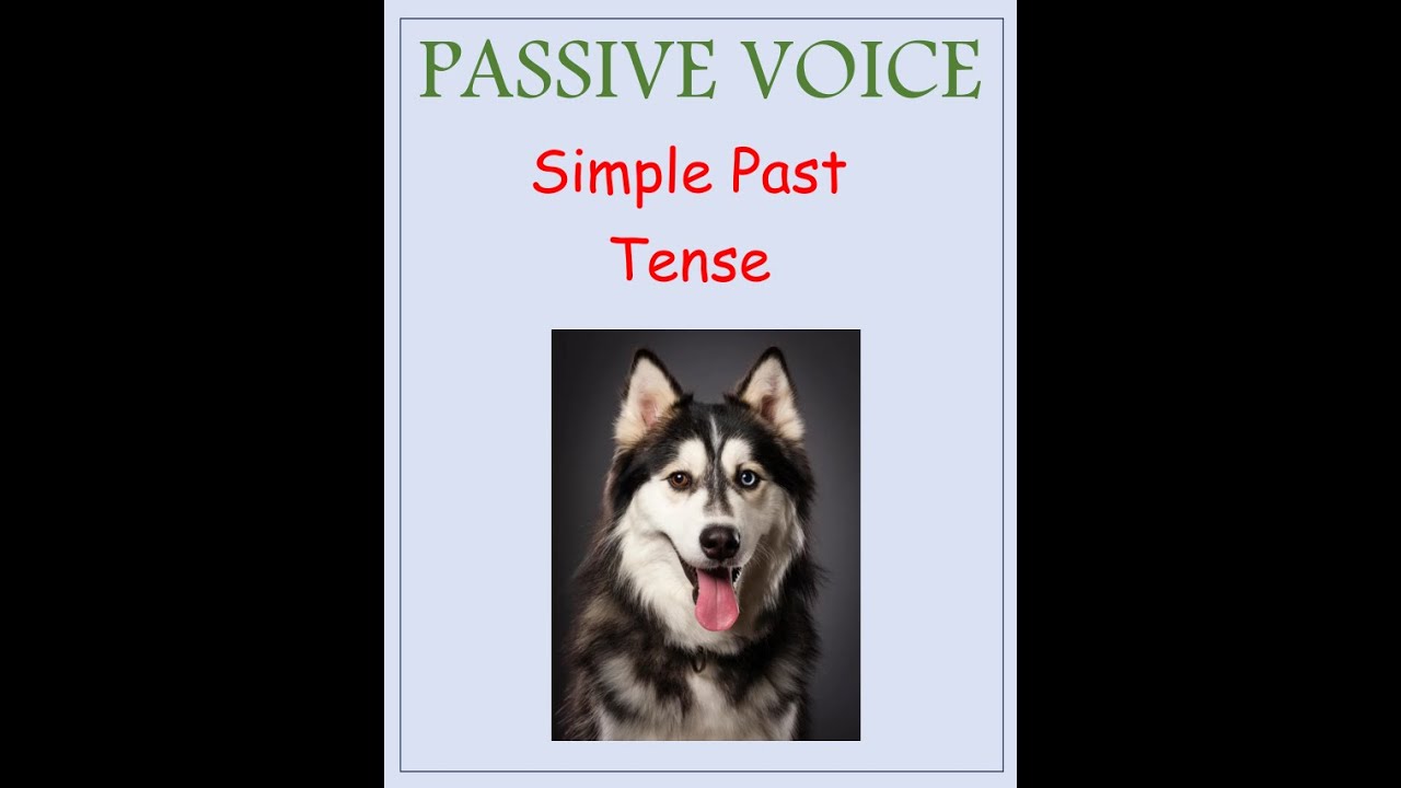 PASSIVE VOICE | SIMPLE PAST TENSE | Grammar Lesson 19 | IK English ...