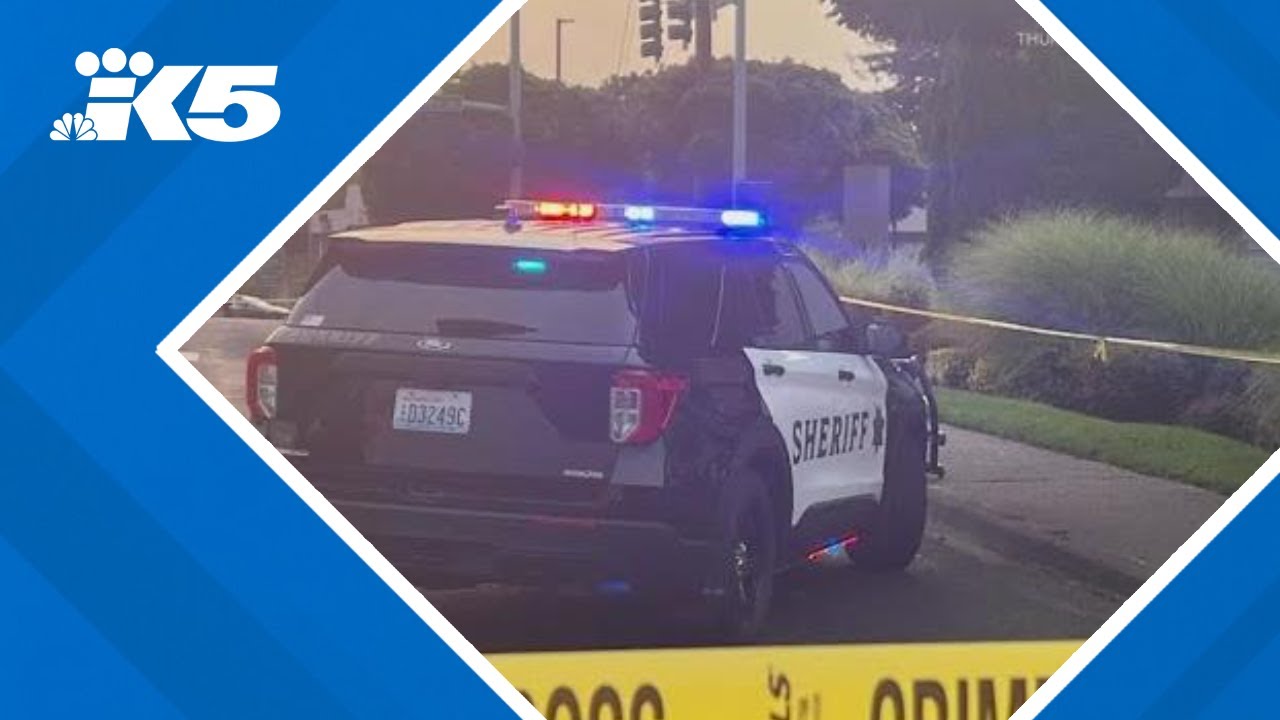 Driver fleeing law enforcement strikes another car, killing 1 in ...