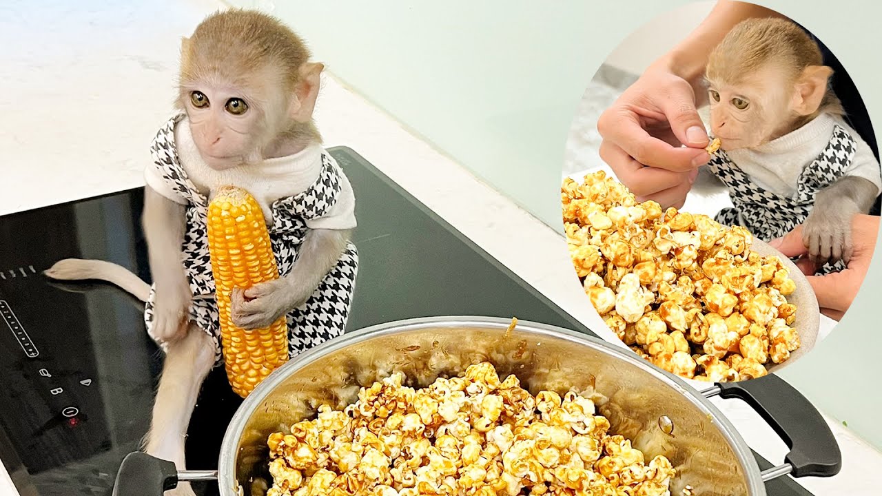 Super Chefs Mon And Dad Show Off Their Popcorn Making Skills Together ...