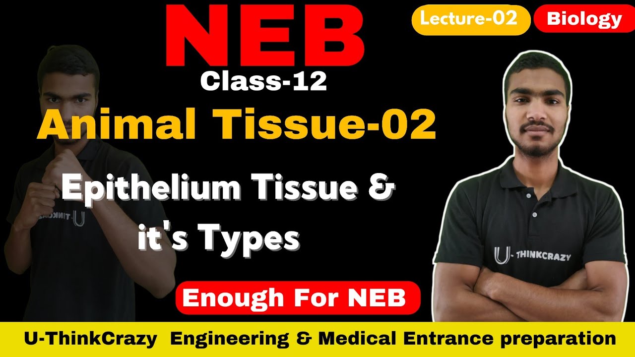 Class-12 NEB | Animal Tissue-02 | Epithelium Tissue & it's Types | NEB ...