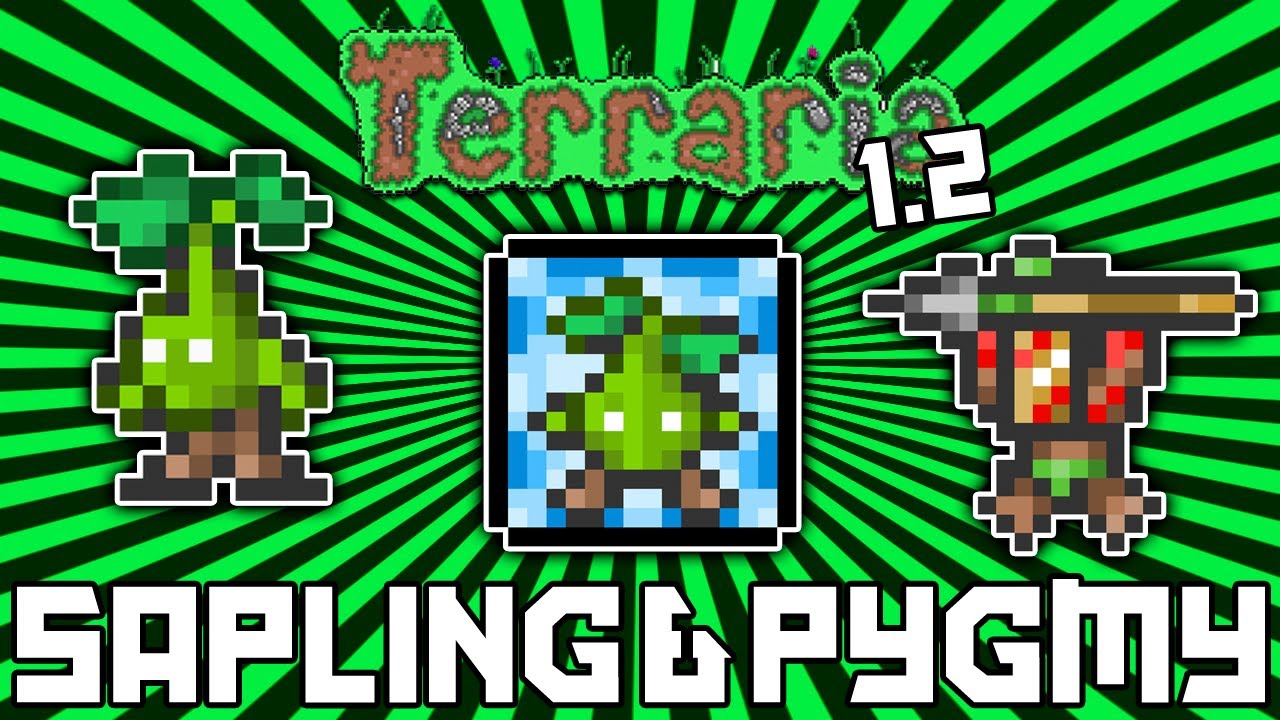 Terraria 1.2: How to get the Sapling Pet & Pygmies! (Seedling & Pygmy ...