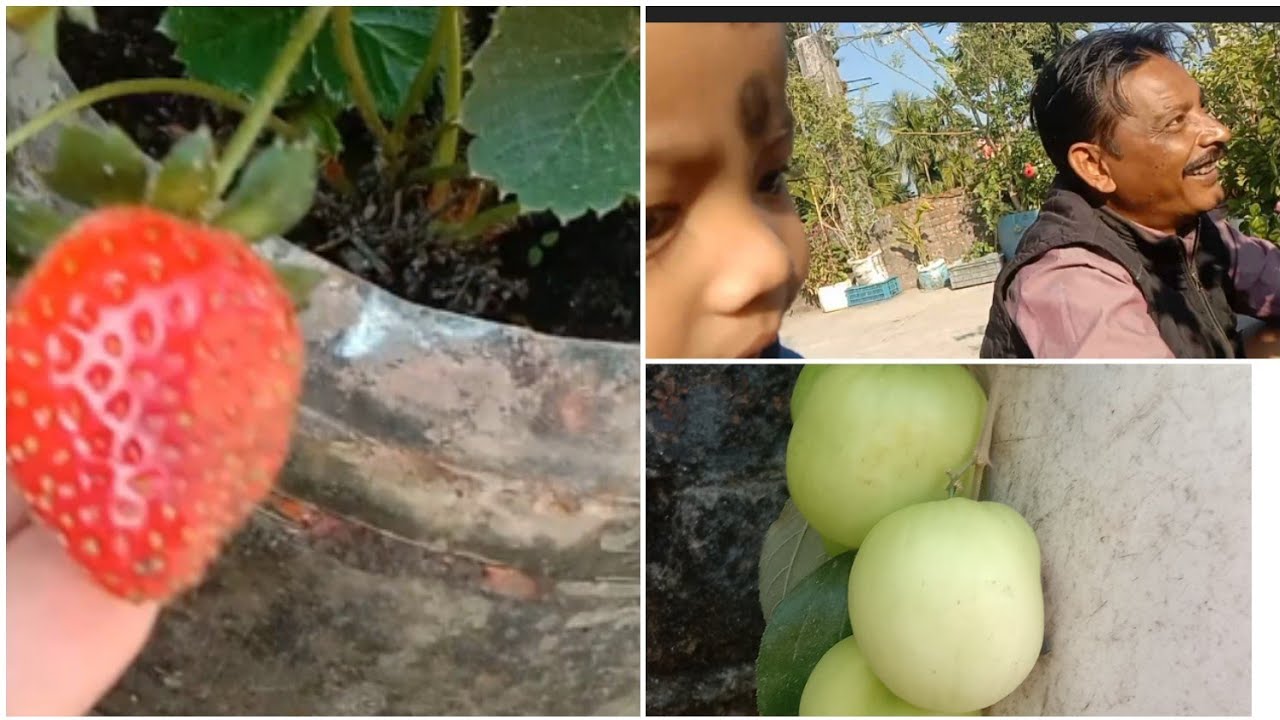 আজ আমার বর ভীষণ খুশি@ Manju Barman vlog#😃😃🍓🍓🍓🍓 - YouTube