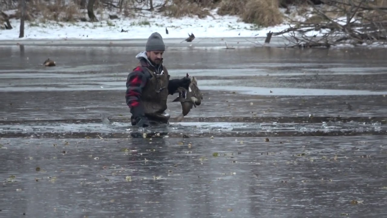 Minnesota Duck Hunting 10 man limit !!-(Frozen Pond Green Heads ...