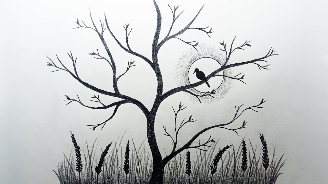 How to draw scenery of Moonlight night with pencil sketch | Moonlight ...