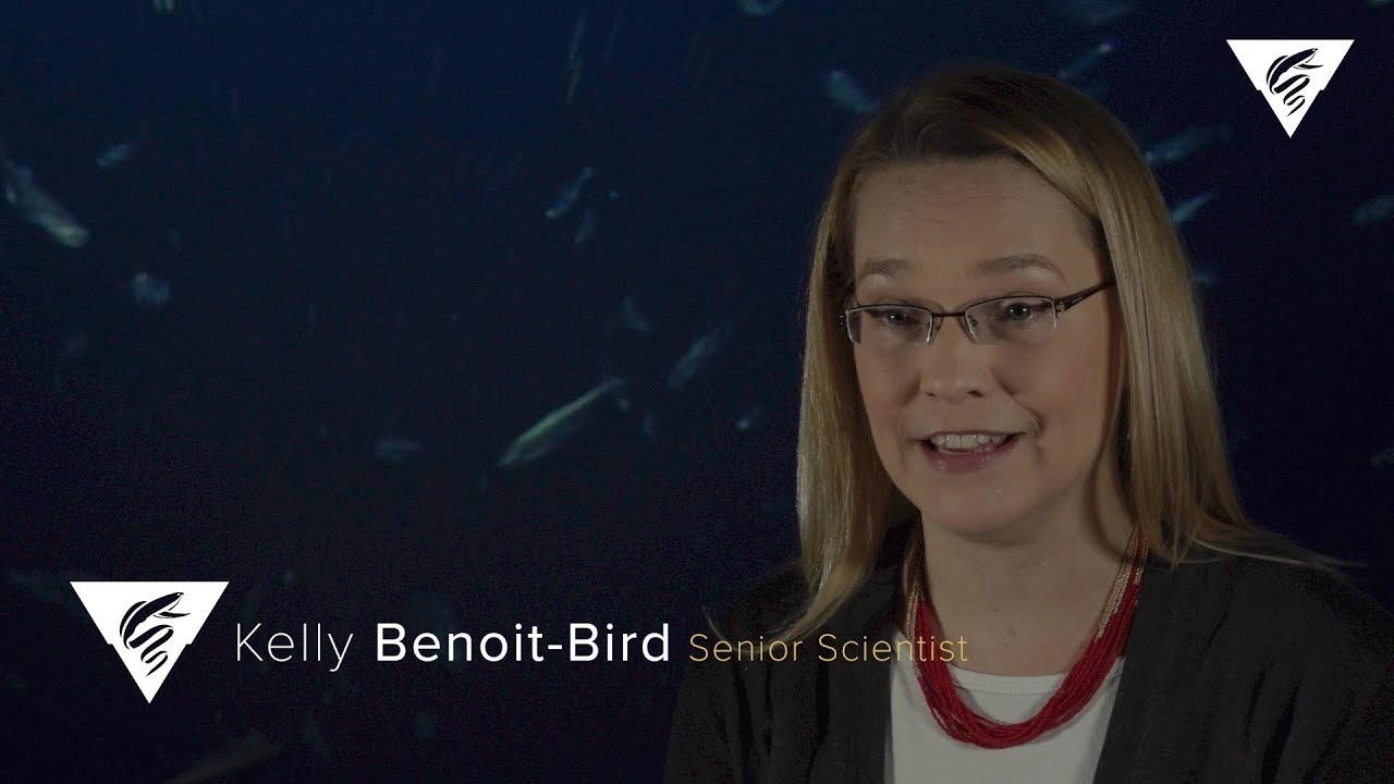 MBARI Ocean Stories - Kelly Benoit-Bird - YouTube