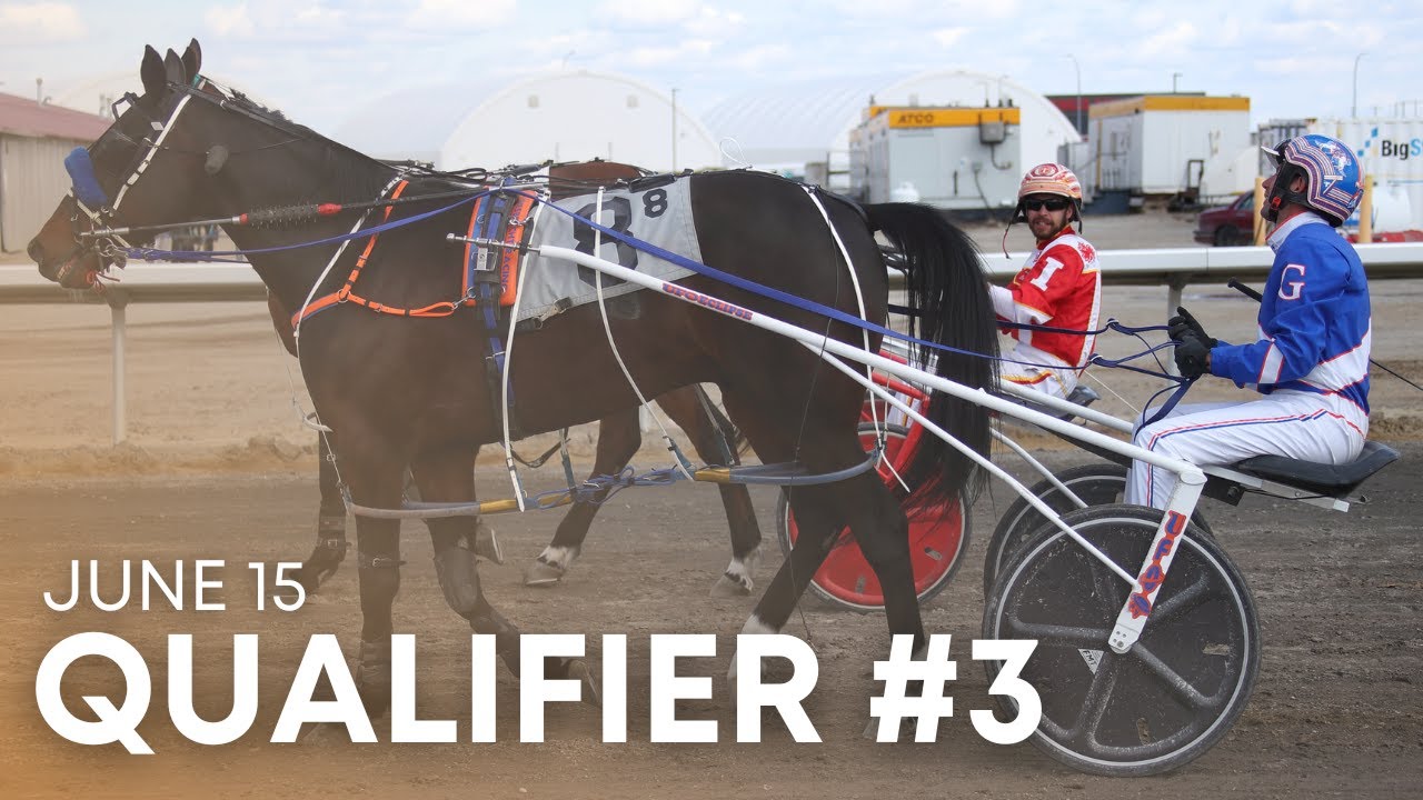 Century Downs Harness Racing Qualifier #3 - June 16 - YouTube