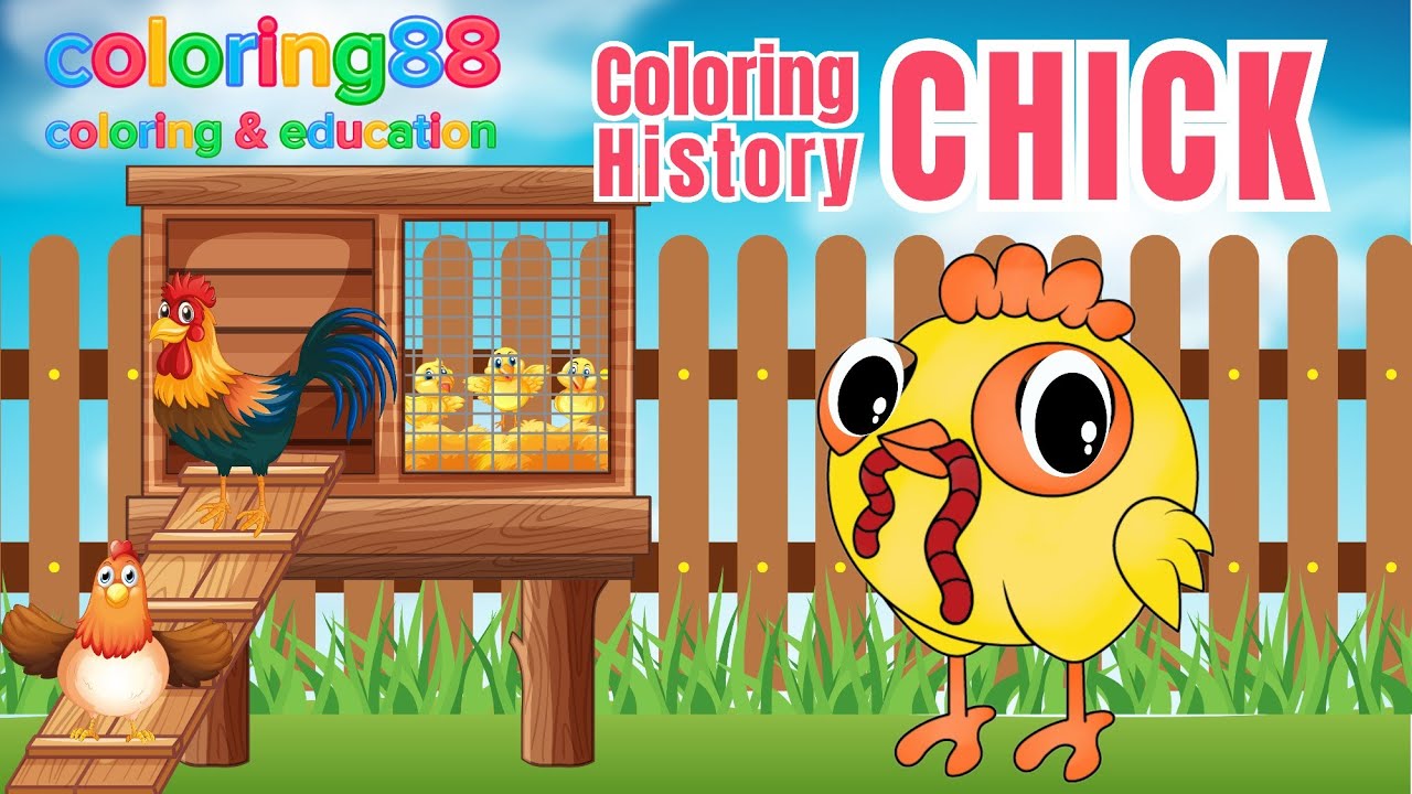 COLOUR CHICKS | learn about baby chicks | education - YouTube