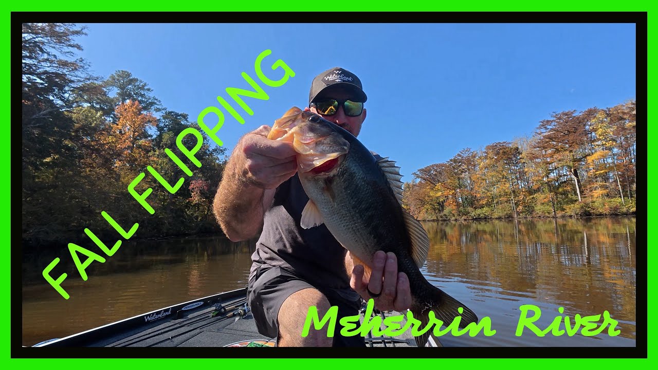 Fall Bass Fishing | Meherrin River Nc - YouTube