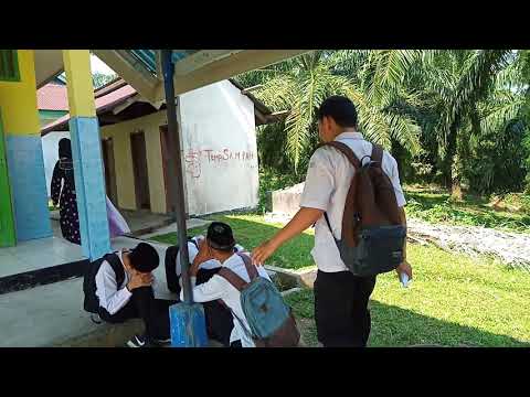 Orang Homo se-Indonesia🤣🤣😂