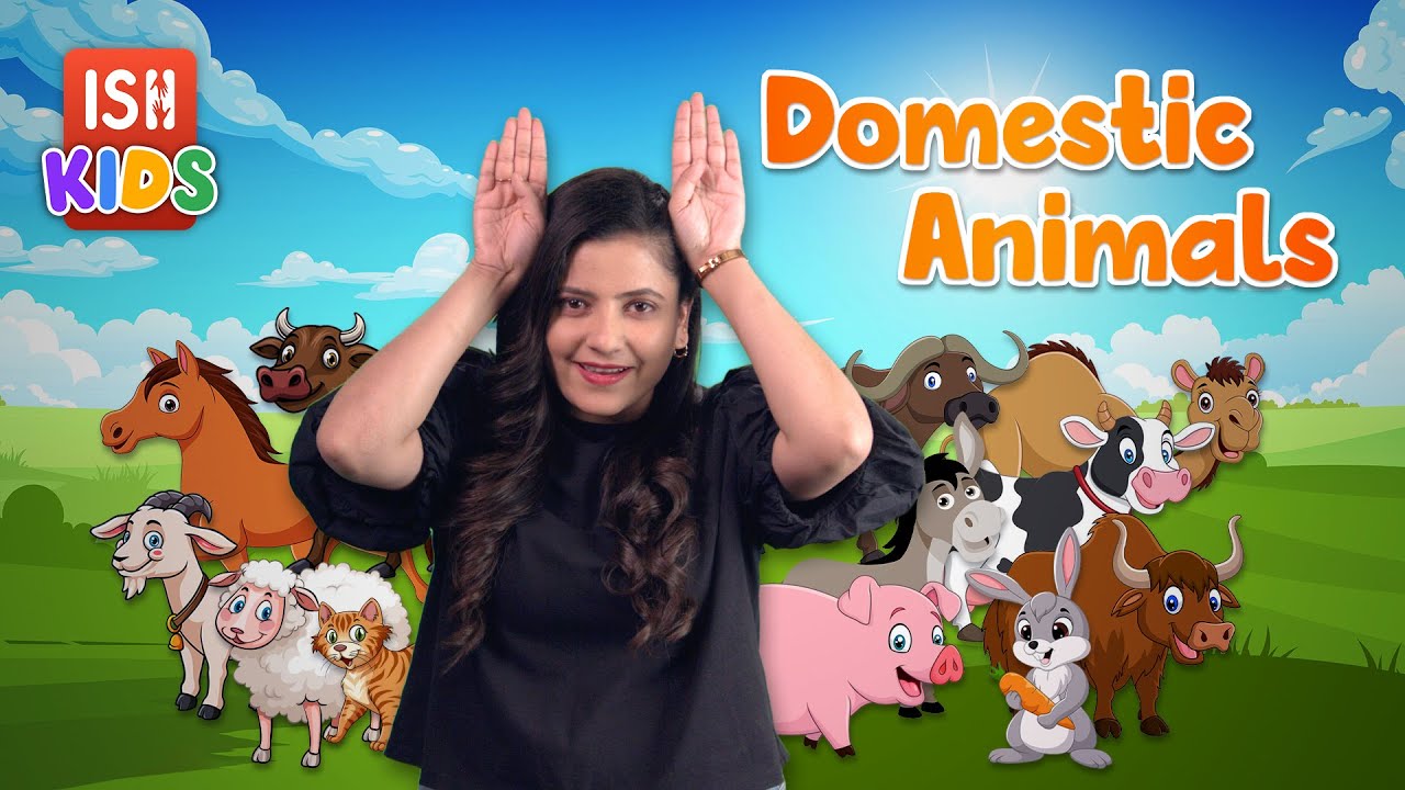 Fun and Engaging Video: Domestic Animals in Indian Sign Language | ISH ...