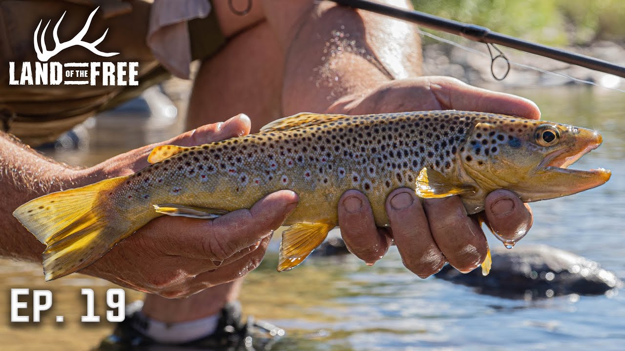 Fly Rod VS Spinning Rod (Walmart Special ) | LOF3 EP. 19 - YouTube