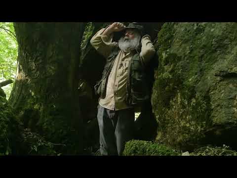 Erwin Saunders Pixie Encounter #fairies #gardening #thepixies # ...