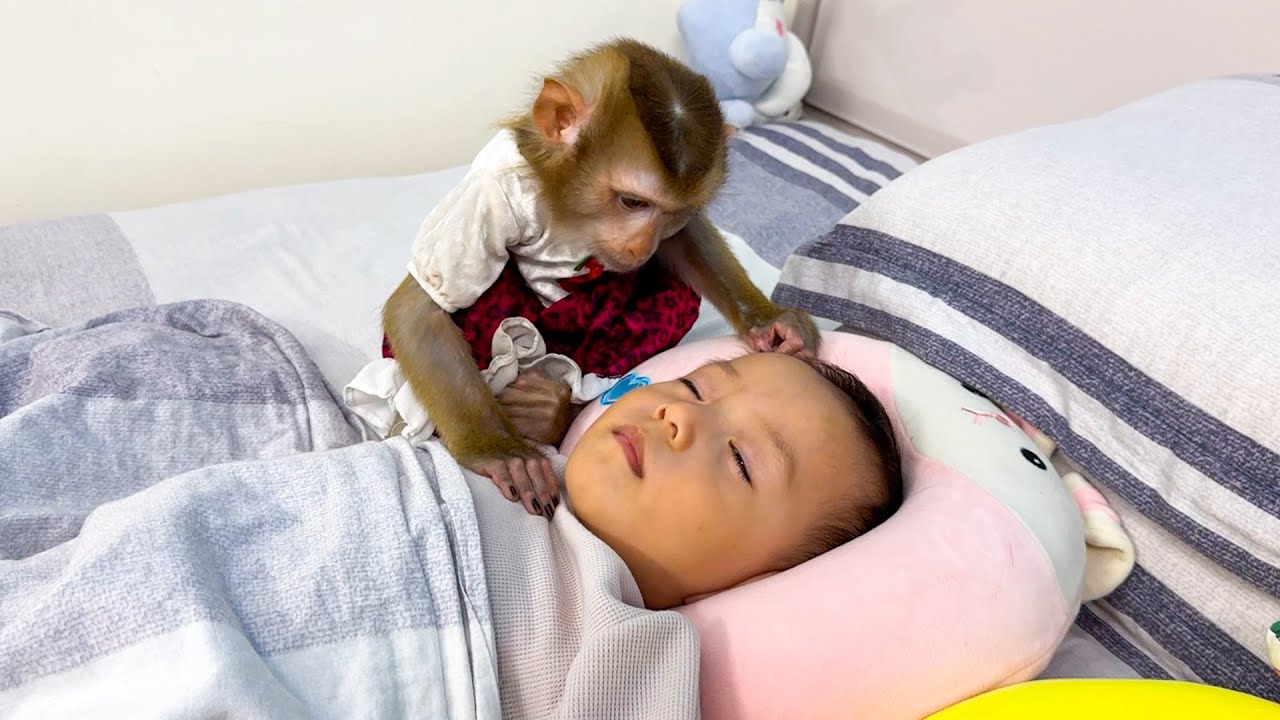 Monkey Kaka looks at baby Diem sleeping soundly, so cute - YouTube
