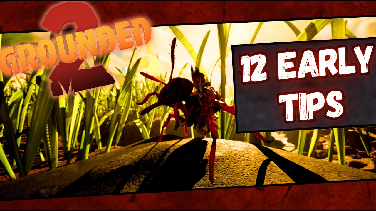 12 Essential Tips for Grounded 2 Beginners - YouTube