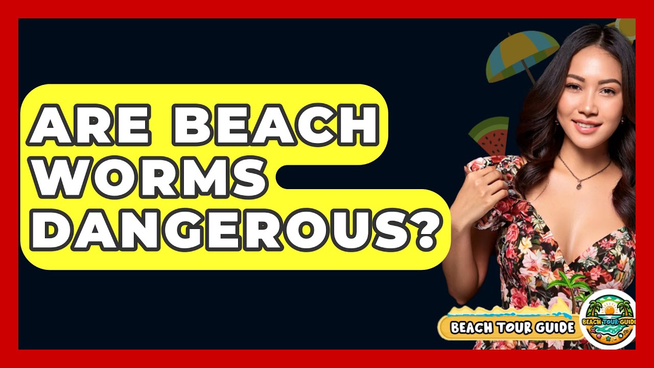 Are Beach Worms Dangerous? - Beach Tour Guide - YouTube