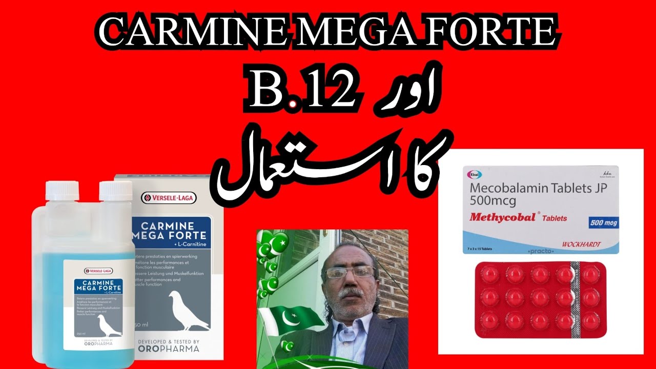 the use of carmine mega forte and B12 in high flying pigeons. - YouTube