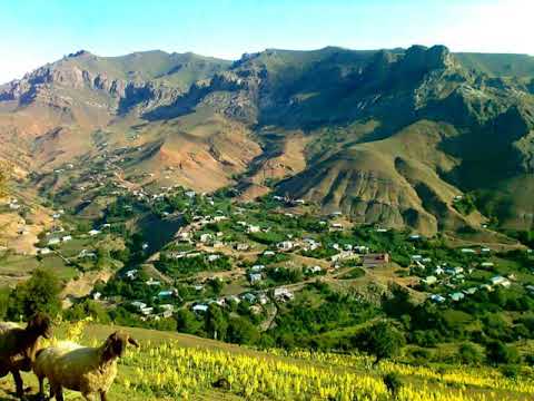Alar kendi