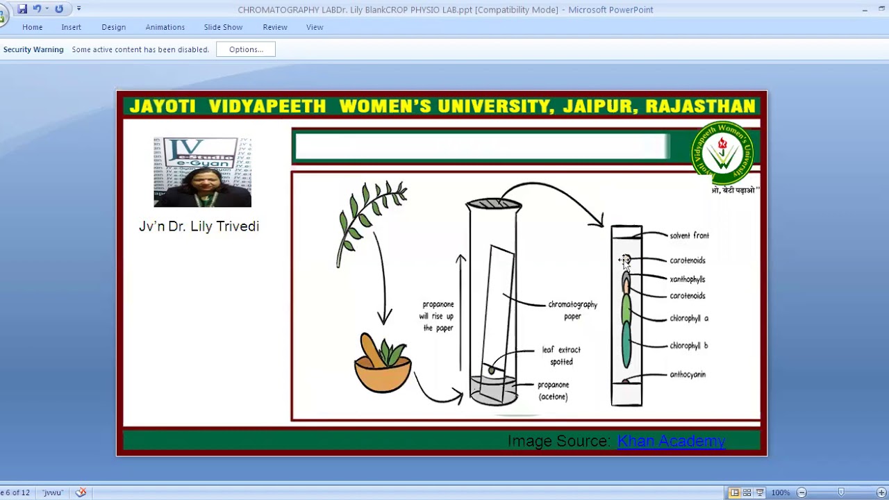 LABSession Separation of photosynthetic pigments through paper ...