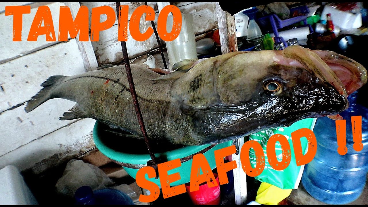 TAMPICO FOOD TOUR!! Best seafood restaurants in the area - YouTube