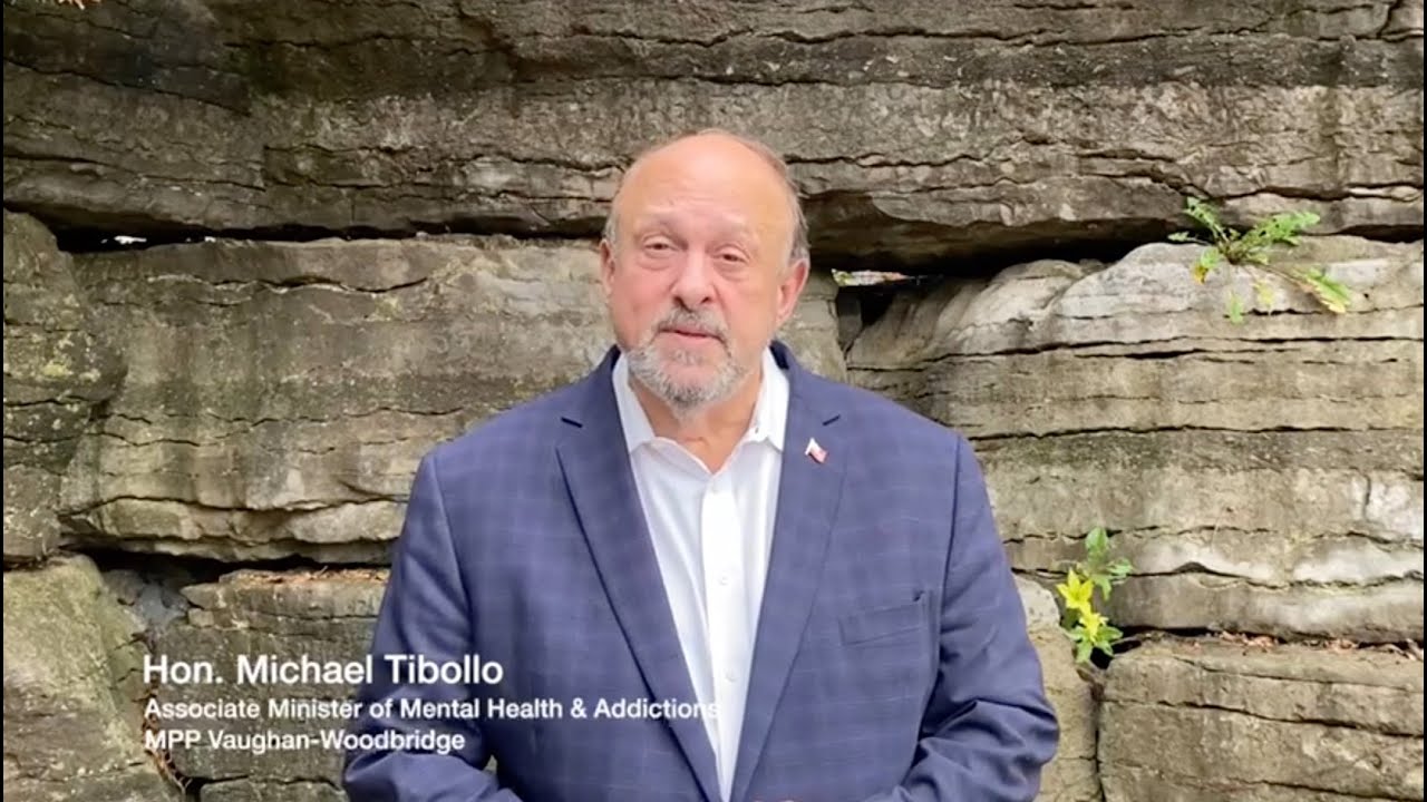Hon. Michael Tibollo Remarks at the Arts for Mental Health Conference ...