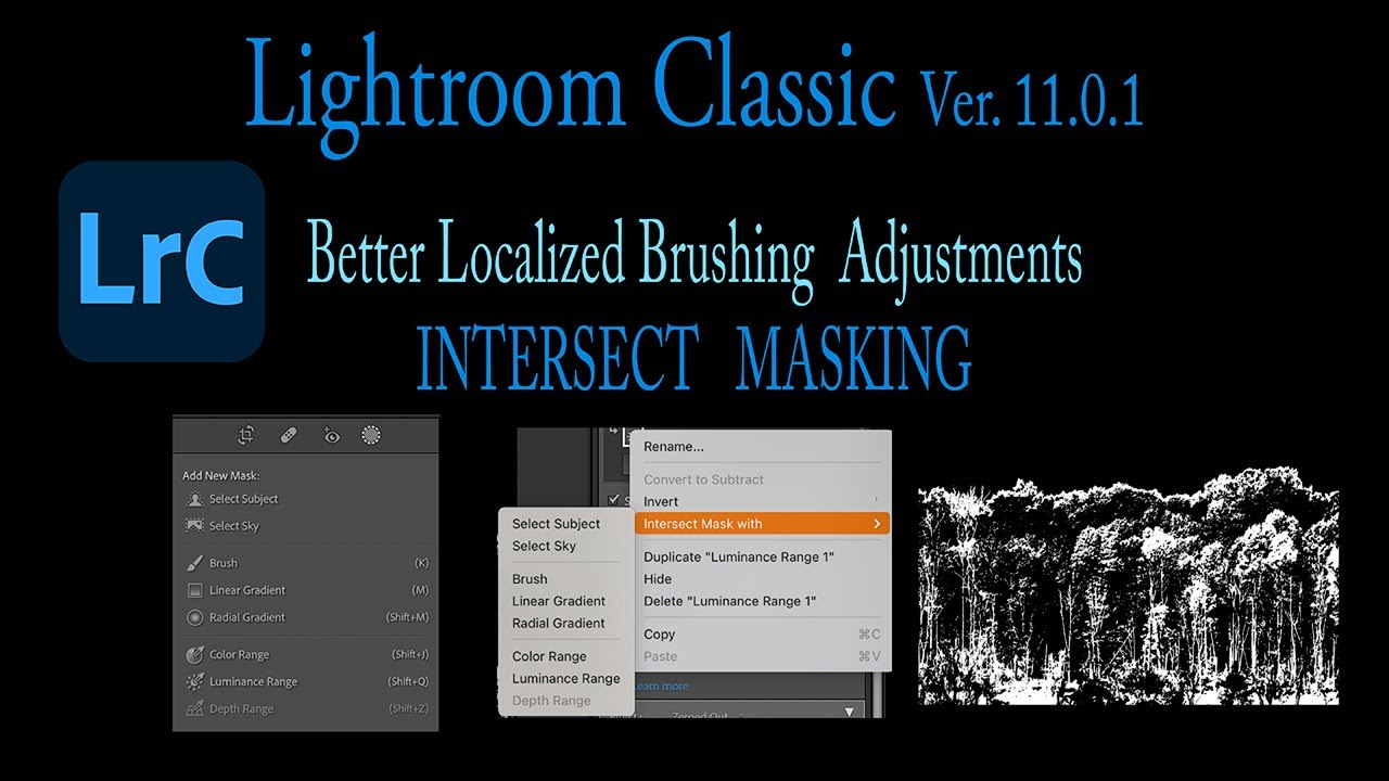LIGHTROOM CLASSIC V 11.0.1(Better Localized Brushing Adjustments) Via ...