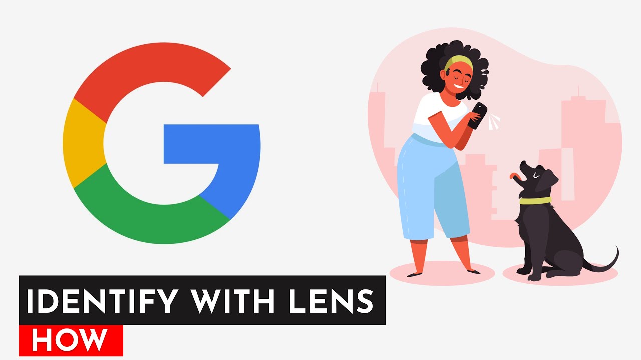 How To Identify An Animal On A video With Google Lens - YouTube