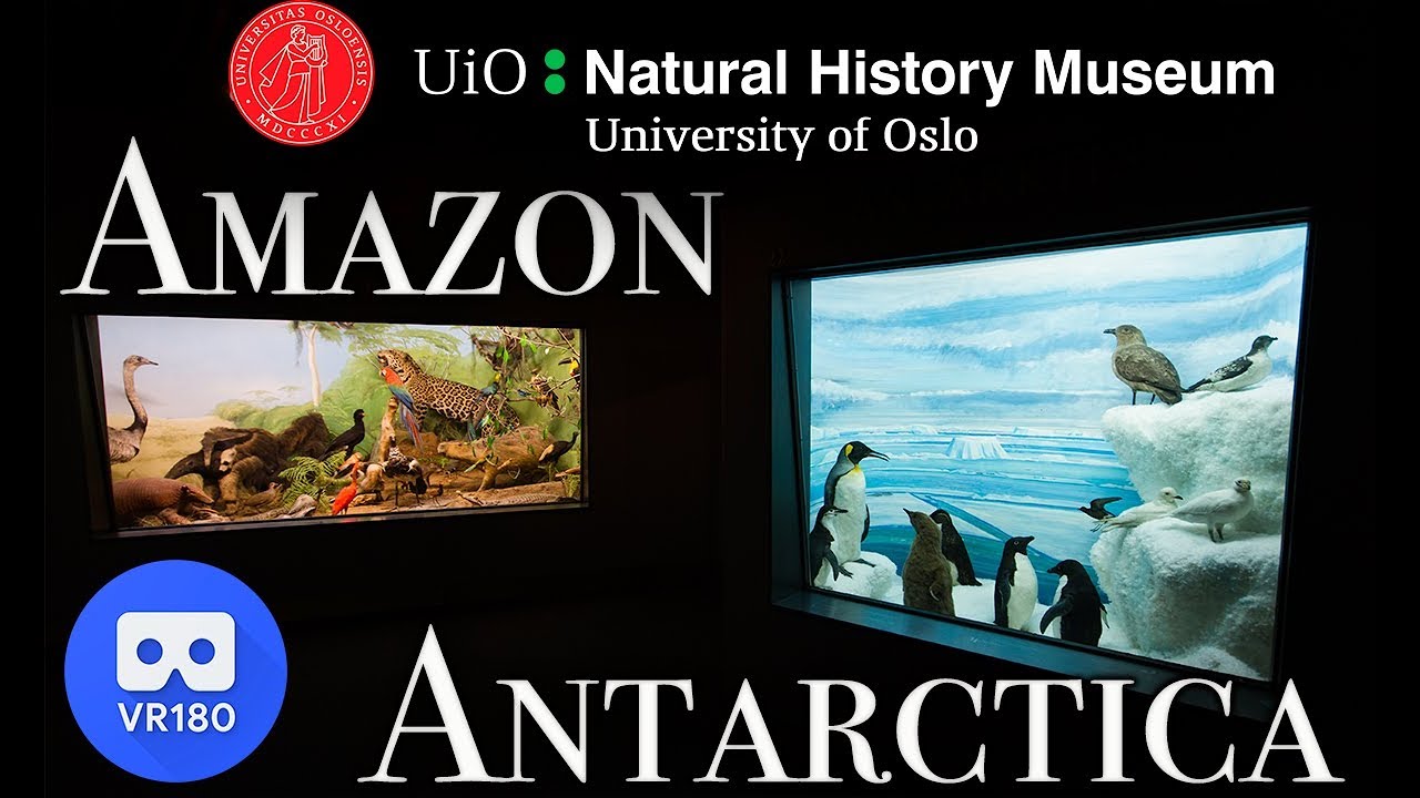 VR180 - Virtual tour - Biodiversity - Museum of natural history - YouTube