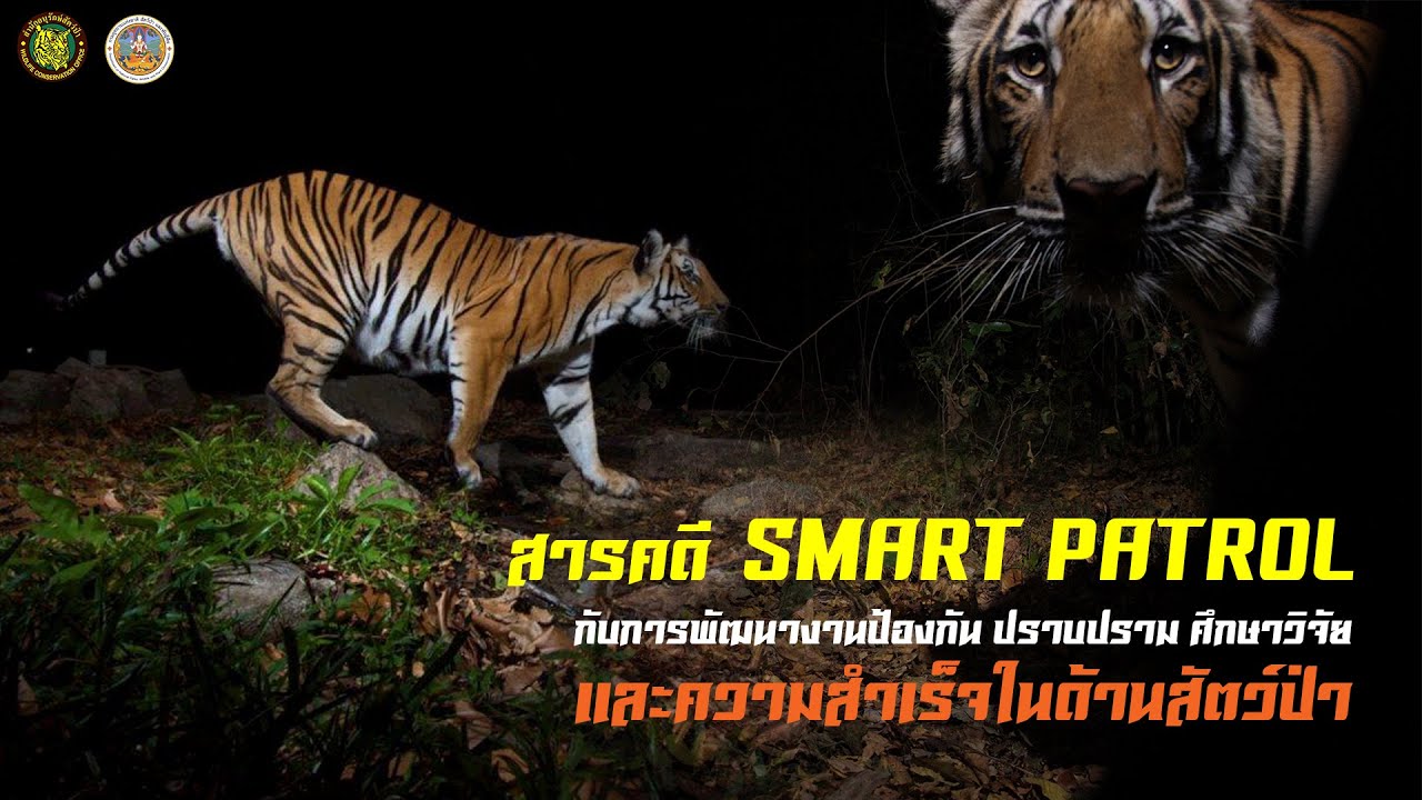 SMART Patrol กับการพัฒนางานป้องกันปราบปรามฯ - YouTube