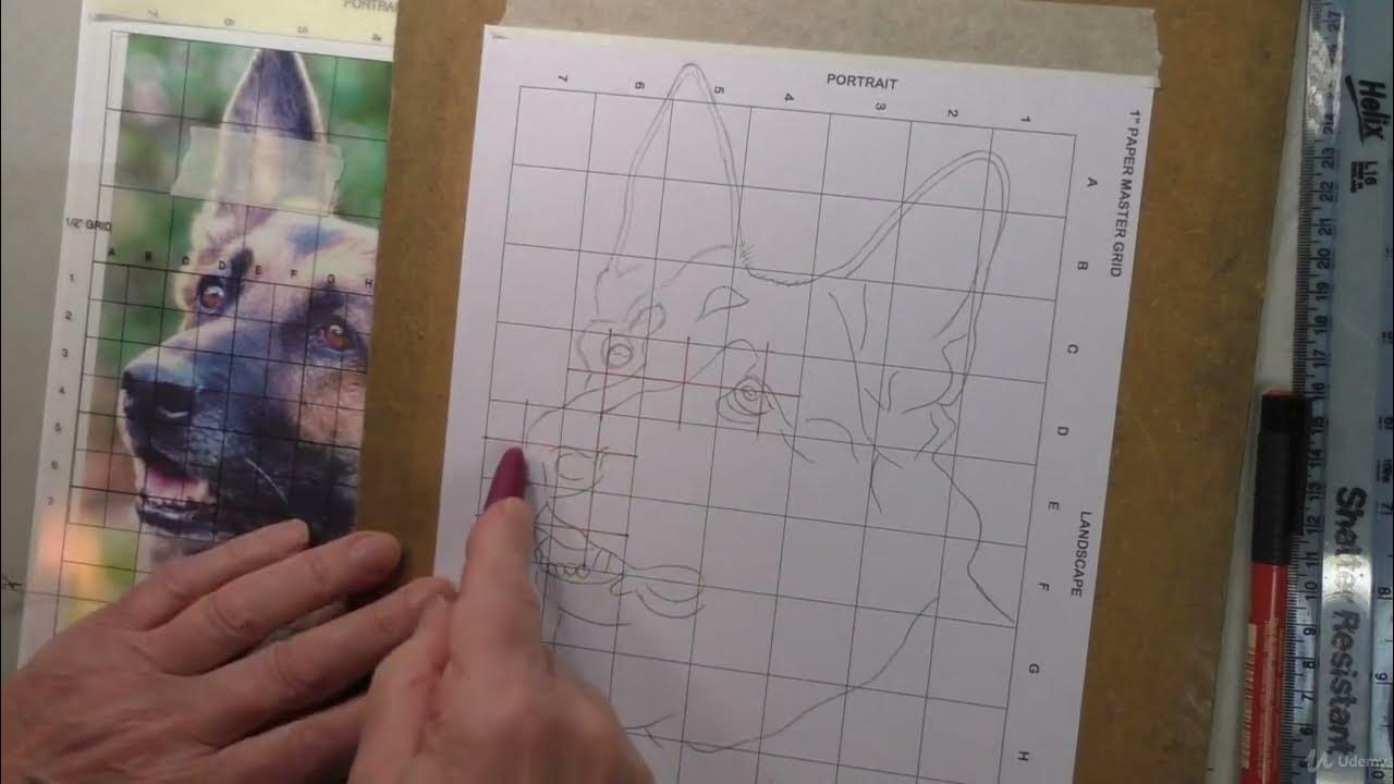 Drawing an Animal | How To Free Hand Draw with Square Drawing Grids ...
