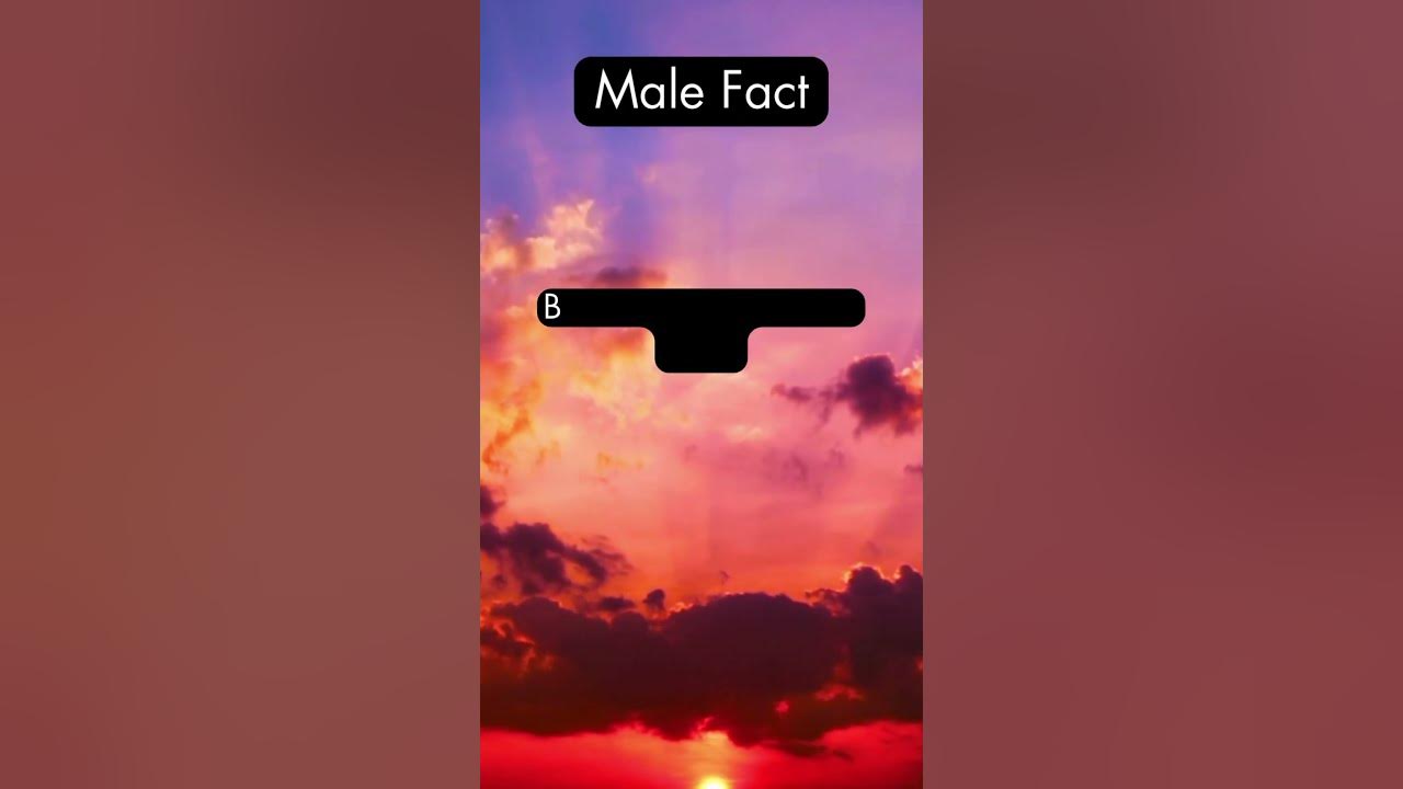 Male Facts YouTube male-facts-youtube