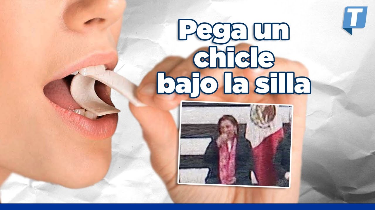 Tunden en redes a Xóchitl Gálvez por pegar su chicle bajo la silla ...