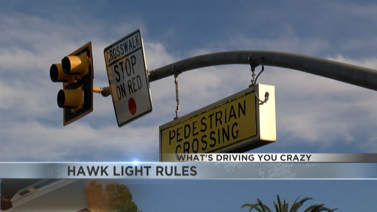What's Driving You Crazy? HAWK lights! - YouTube
