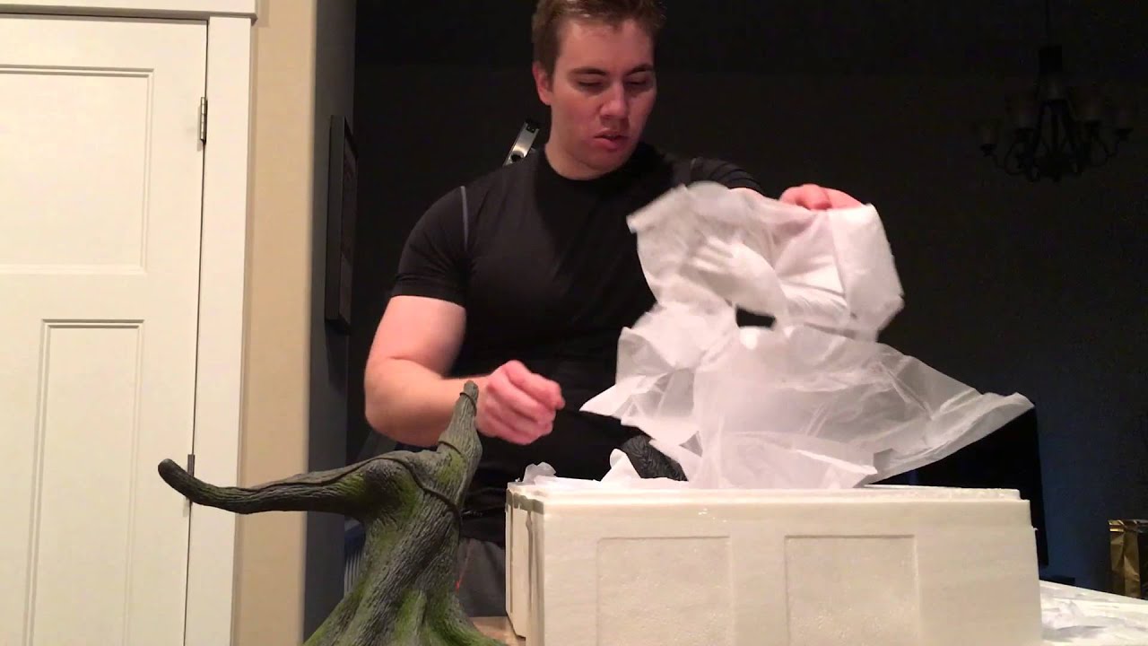 PCS POTA Caesar 1/4 statue unboxing/review - YouTube