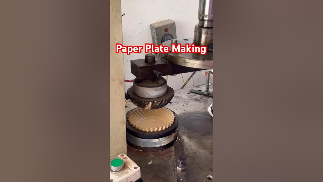 Paper Plate Manufacturing #paperplatemakingmachine #paperplatemaking # ...