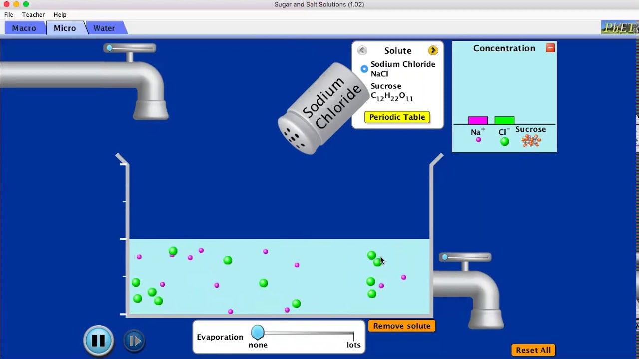 Salt & Sugar dissolving PhET simulation explained - YouTube