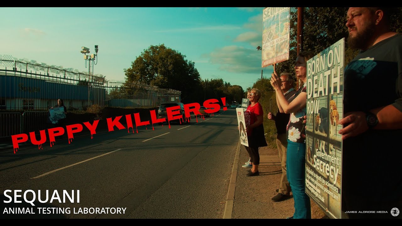 SEQUANI PROTEST - Animal Testing Lab - Ledbury, UK - YouTube