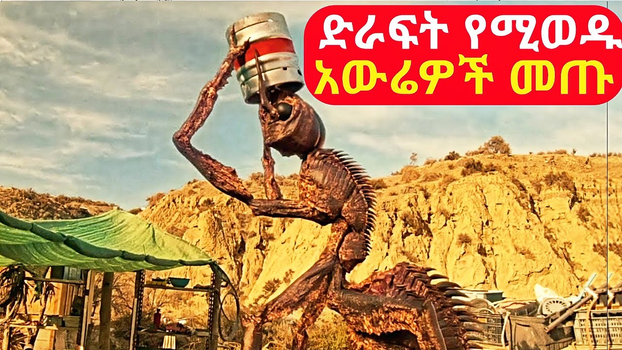 በረሃማው ቦታ ላይ ድራፍት የሚወዱ አውሬዎች መጡ | cinemawi mirt film - YouTube