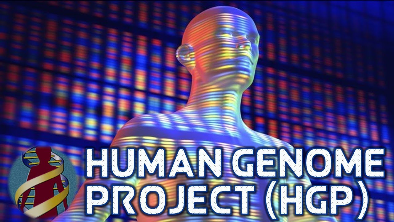 Molecular basis of inheritance - Part 9 Human Genome Project (HGP ...