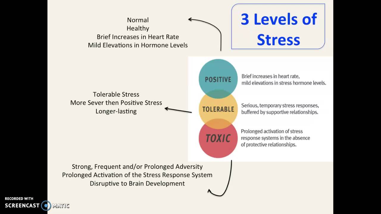 Toxic Stress - Child Development - YouTube