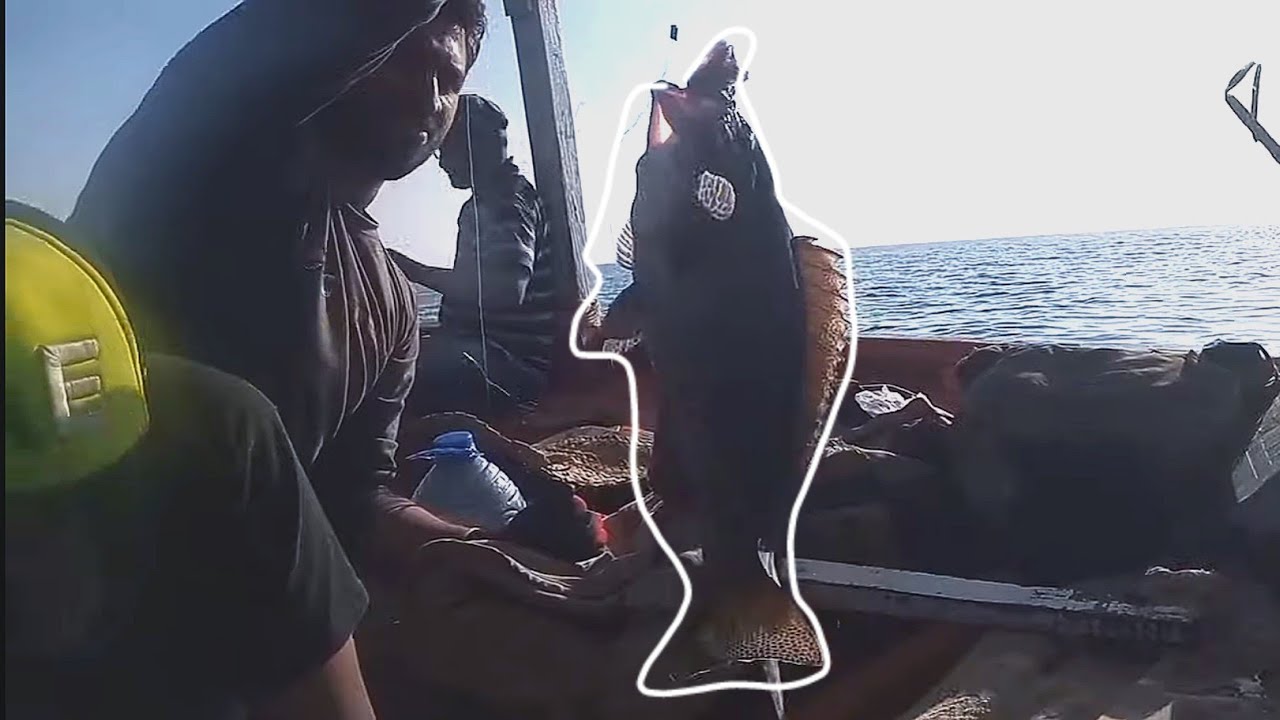 Charna Island Fishing | Grouper Fishing | Emperor Fishing - YouTube