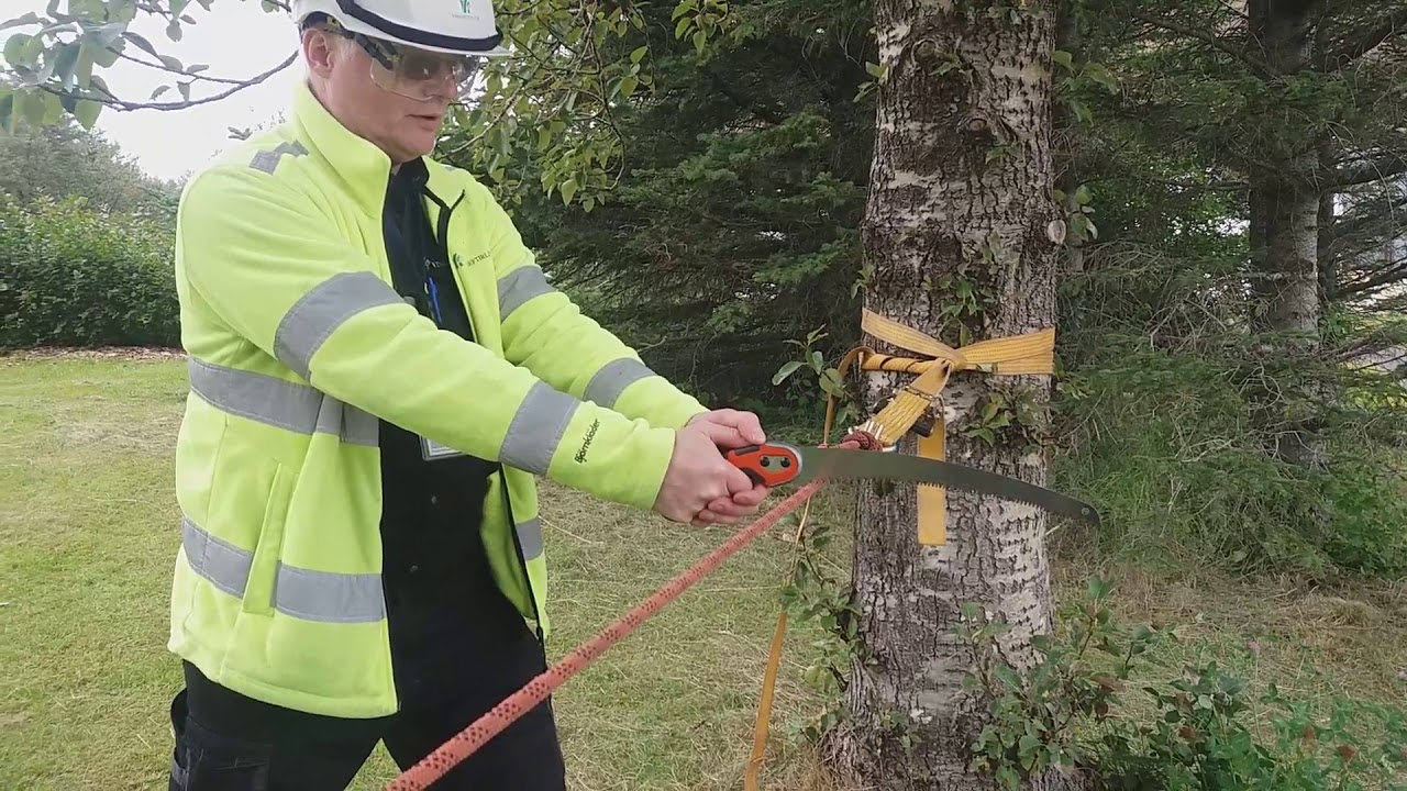 Handsaw meets climbing line - YouTube