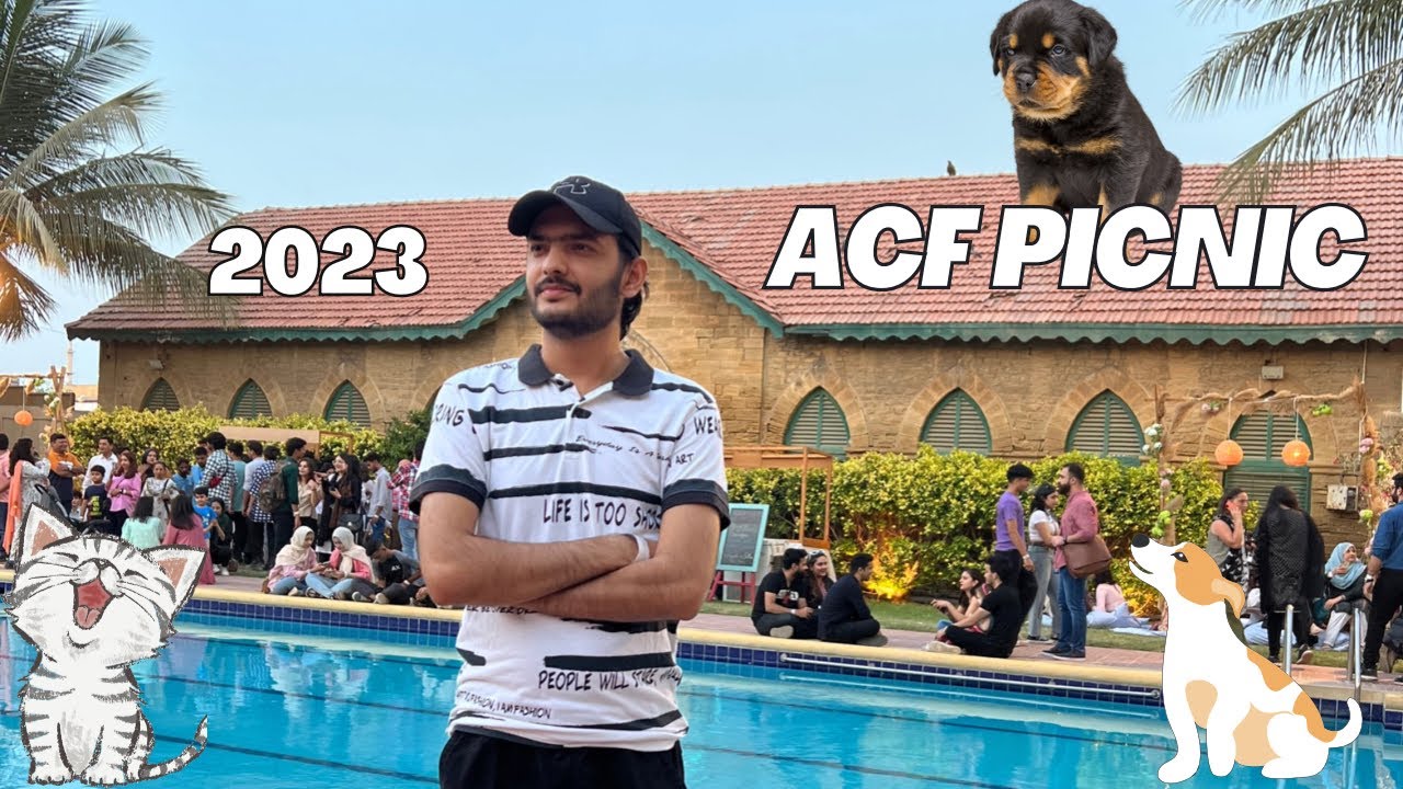 Acf Animal Rescue Karachi - YouTube