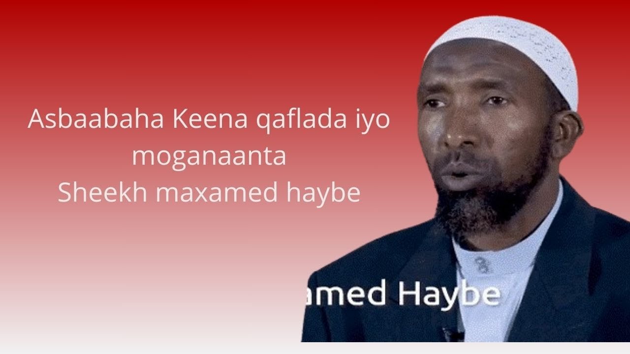 sheekh maxamed haybe | asbaabaha Keena qaflada iyo moganaanta ...