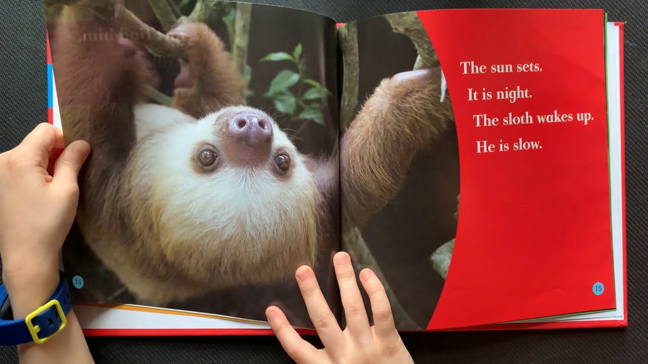 My First Animal Library Sloths by Mari Schuh AR level 0.9 Quiz #167528 ...