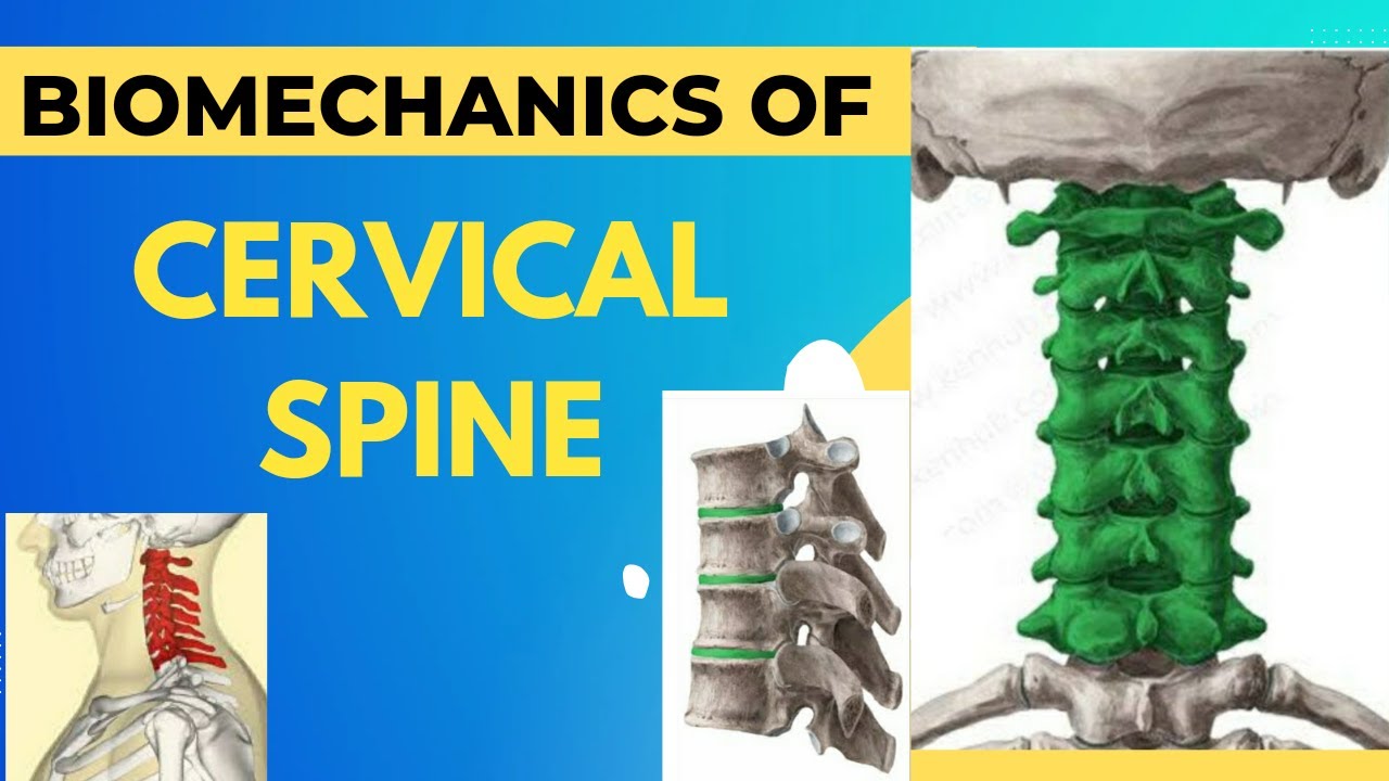 Biomechanics of Cervical Spine- with notes in detail explanation. - YouTube