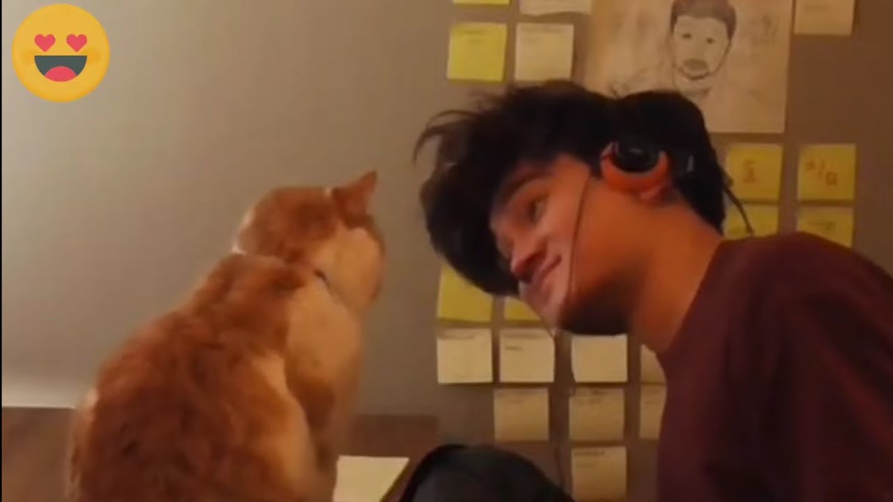 James Scholz and mika, some cute moments 😍😍 - YouTube