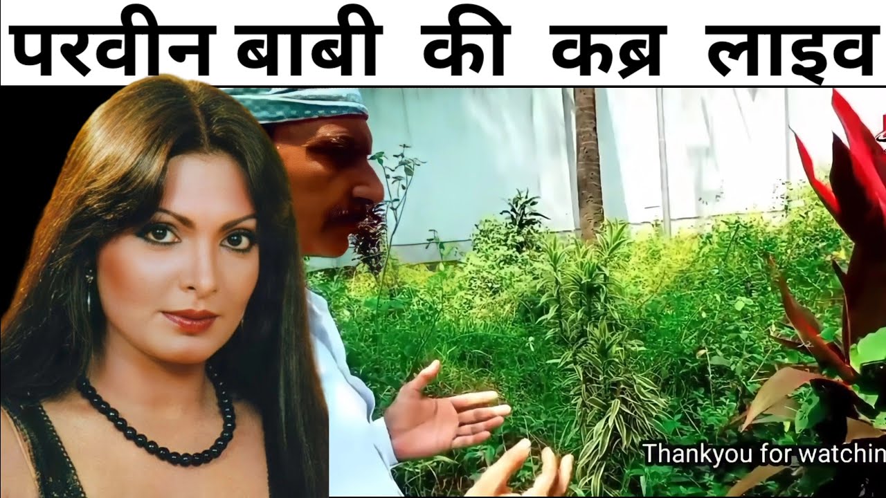 परवीन बाबी की कब्र लाइव! Parveen Babi's grave is live! Parveen Babi ...