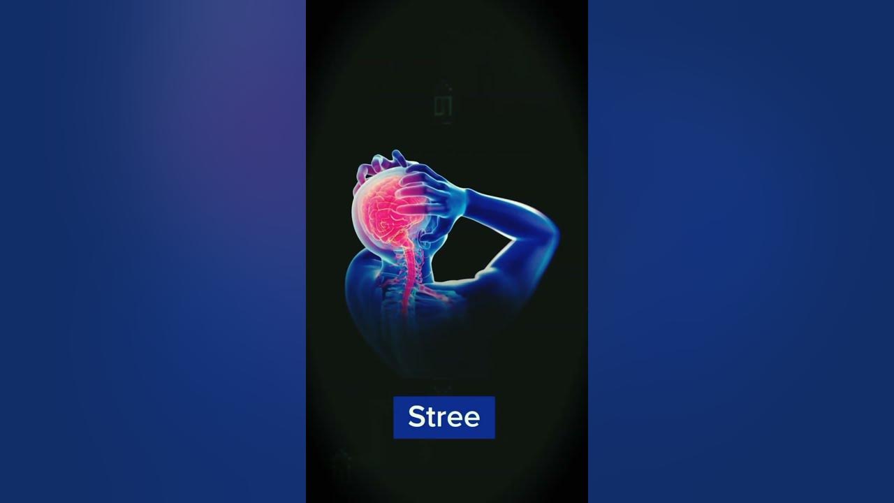 Coding lover🚀#html5#css3#javascript #frontend#study#pubgmobile#codinglife#shorts#viralvideo# ...